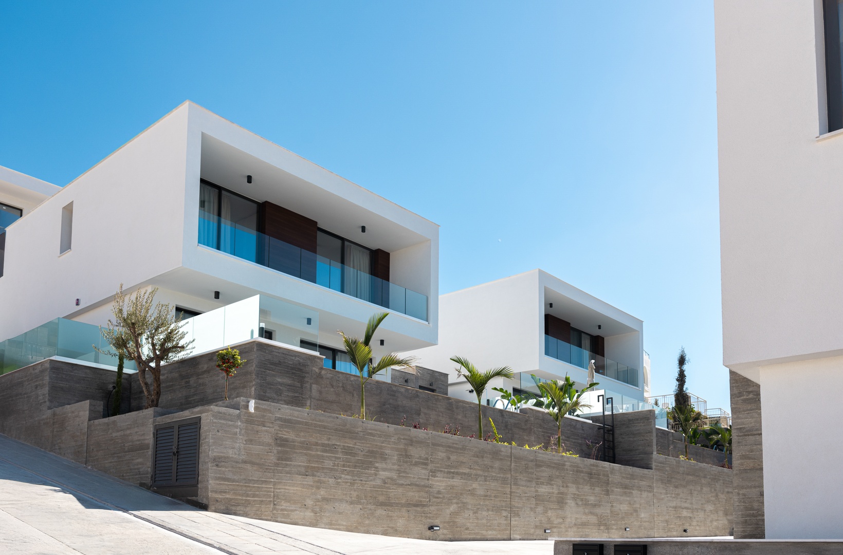 Who We Are | Medousa Developers